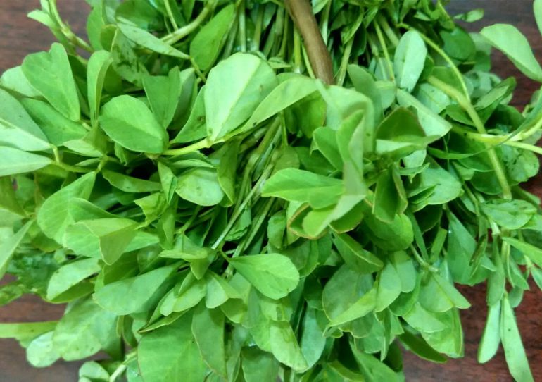 Eat Some Methi - Bold Outline : India's leading Online Lifestyle ...