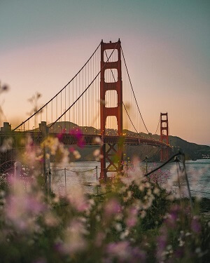 Why Golden Gate? The History Behind The Name - Bold Outline : India's ...