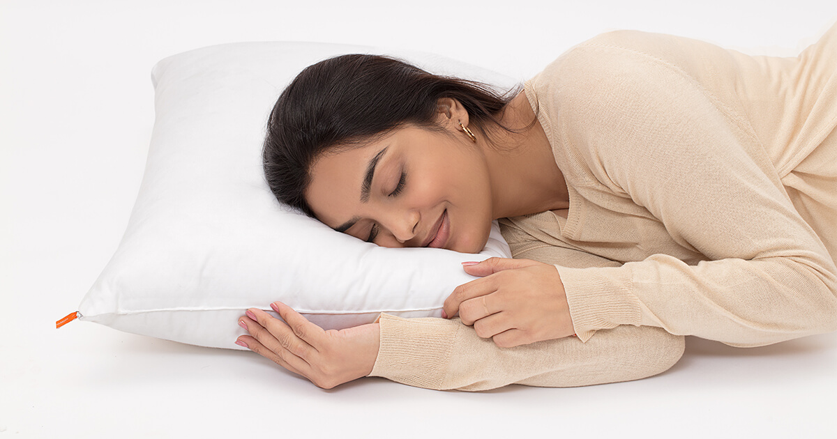 Celebrate This Festive Season With SleepyCat’s All-New Product Range ...