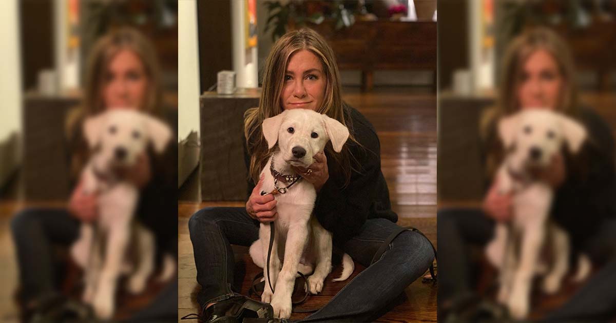 Jen Pays Tribute To Martin Luther King Jr. - Bold Outline : India's ...