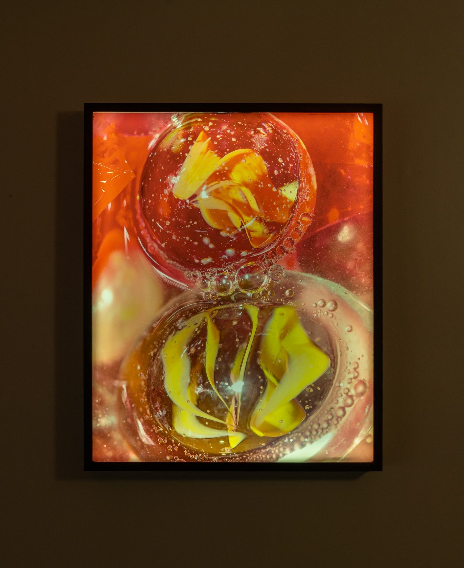 'Electric Floral Fantasy' a solo exhibition by Eeshani Mitra at Method ...