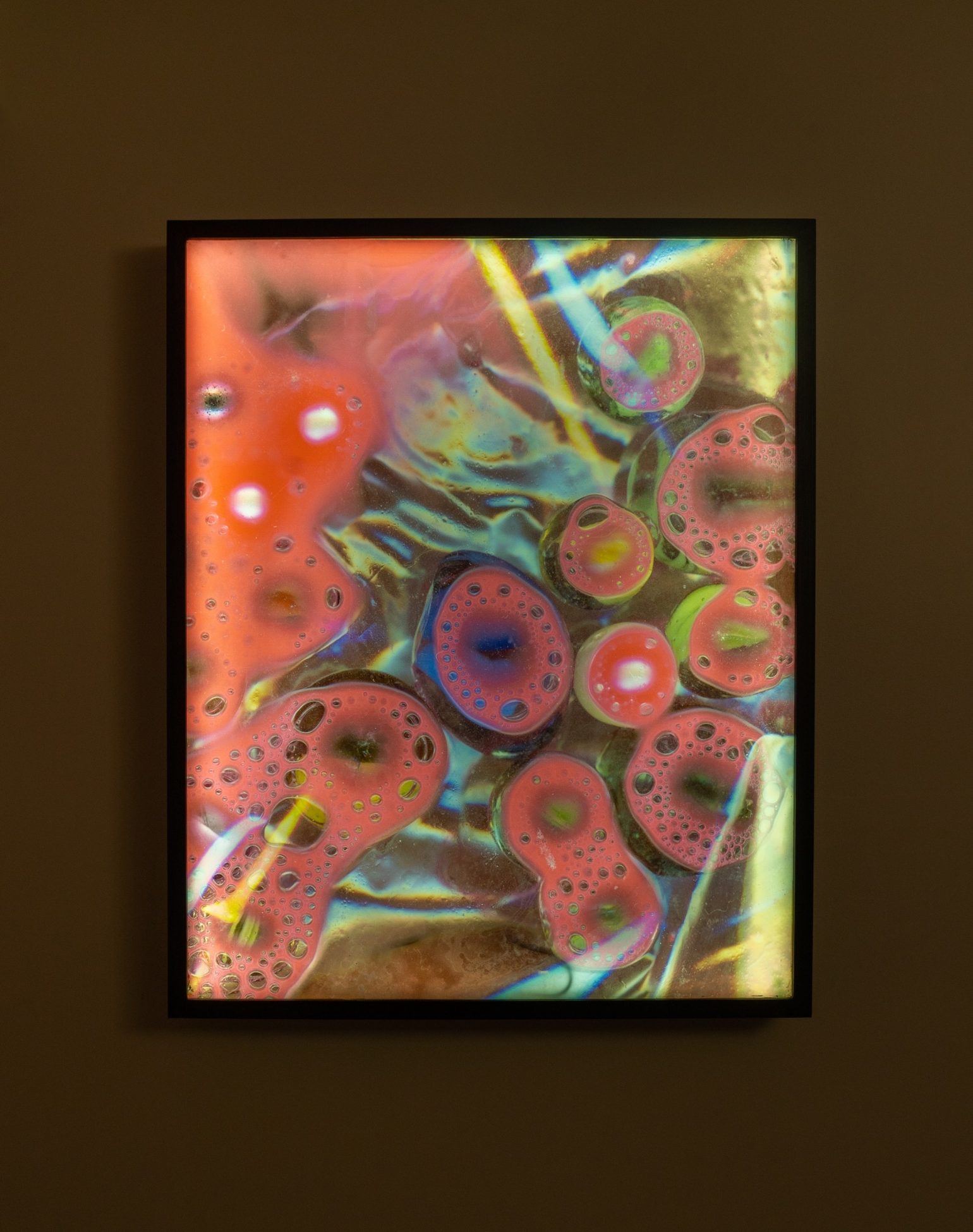 'Electric Floral Fantasy' a solo exhibition by Eeshani Mitra at Method ...